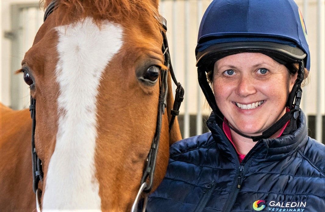 Galedin Vets | Mixed Animal Services in the Scottish Borders