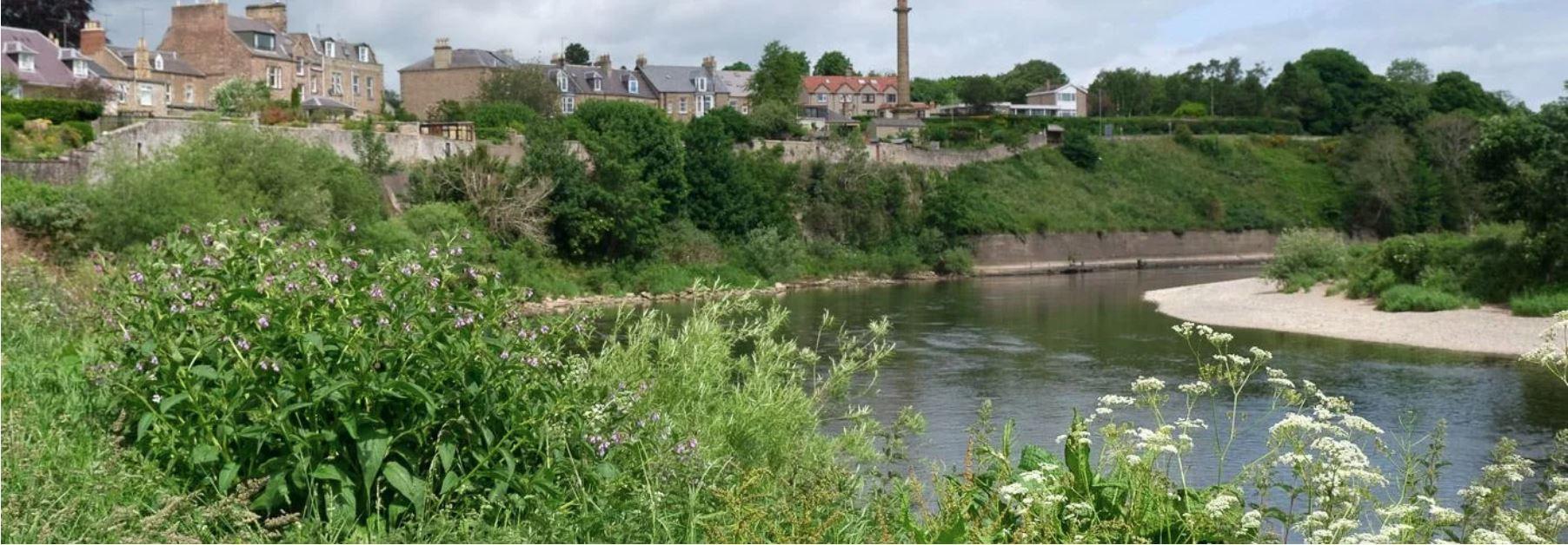 Branch | Galedin Vets